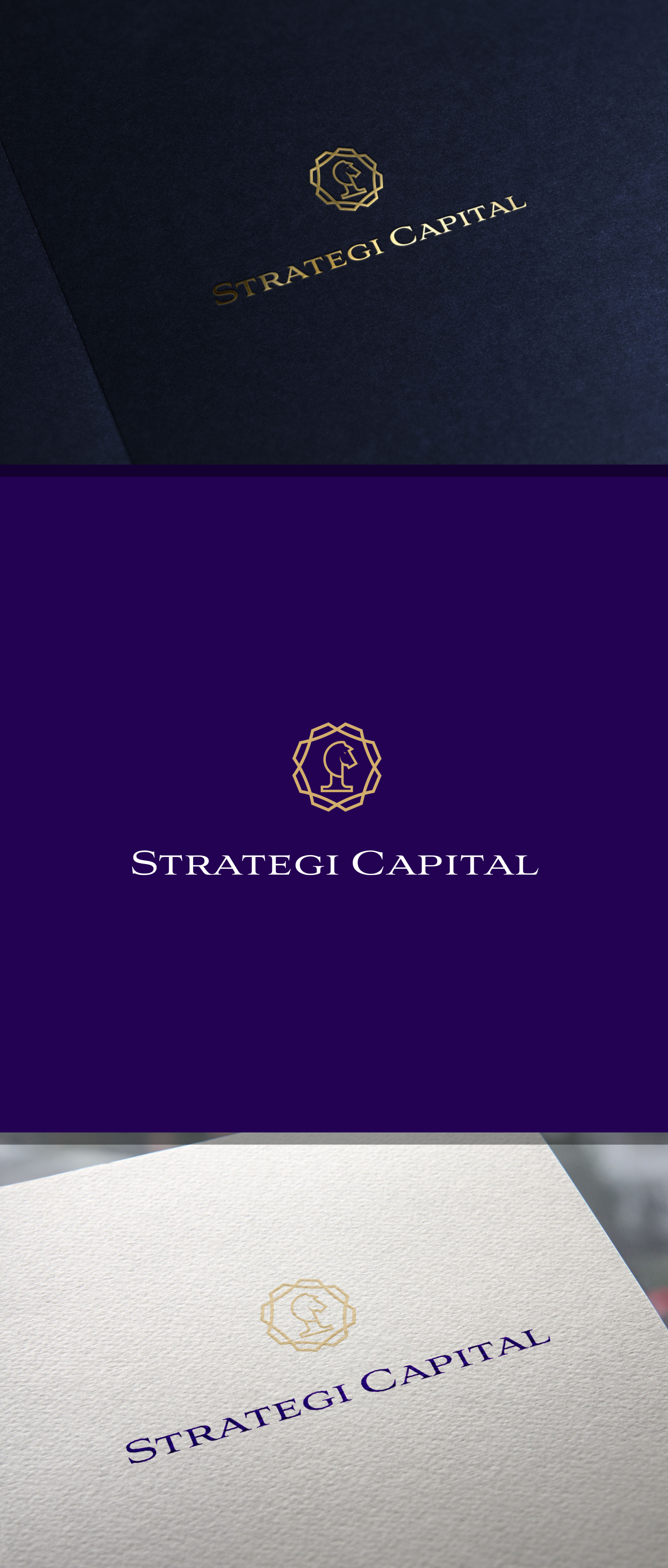 Create a unique logo for our Capital investment company, a Logo ...