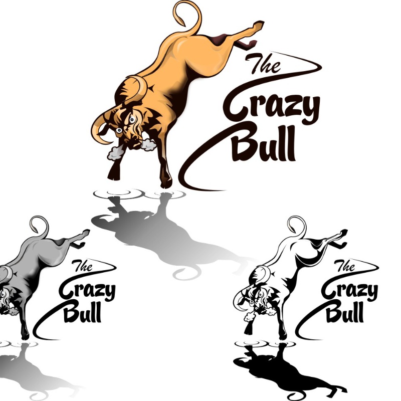 A Logo & Identity Design project by leilani_amber on crowdspring