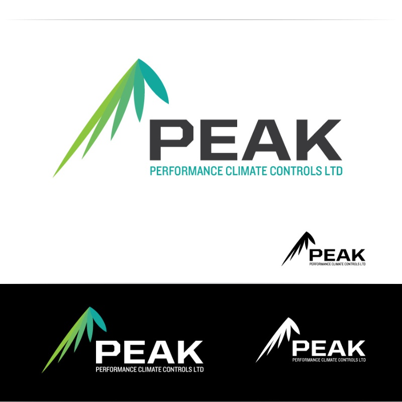 A Logo & Identity Design project by ppcc on crowdspring