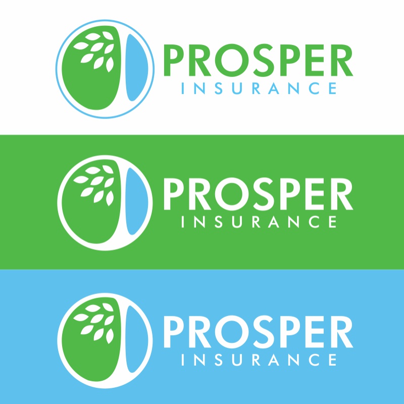 A Logo & Identity Design project by Prospergroup on crowdspring