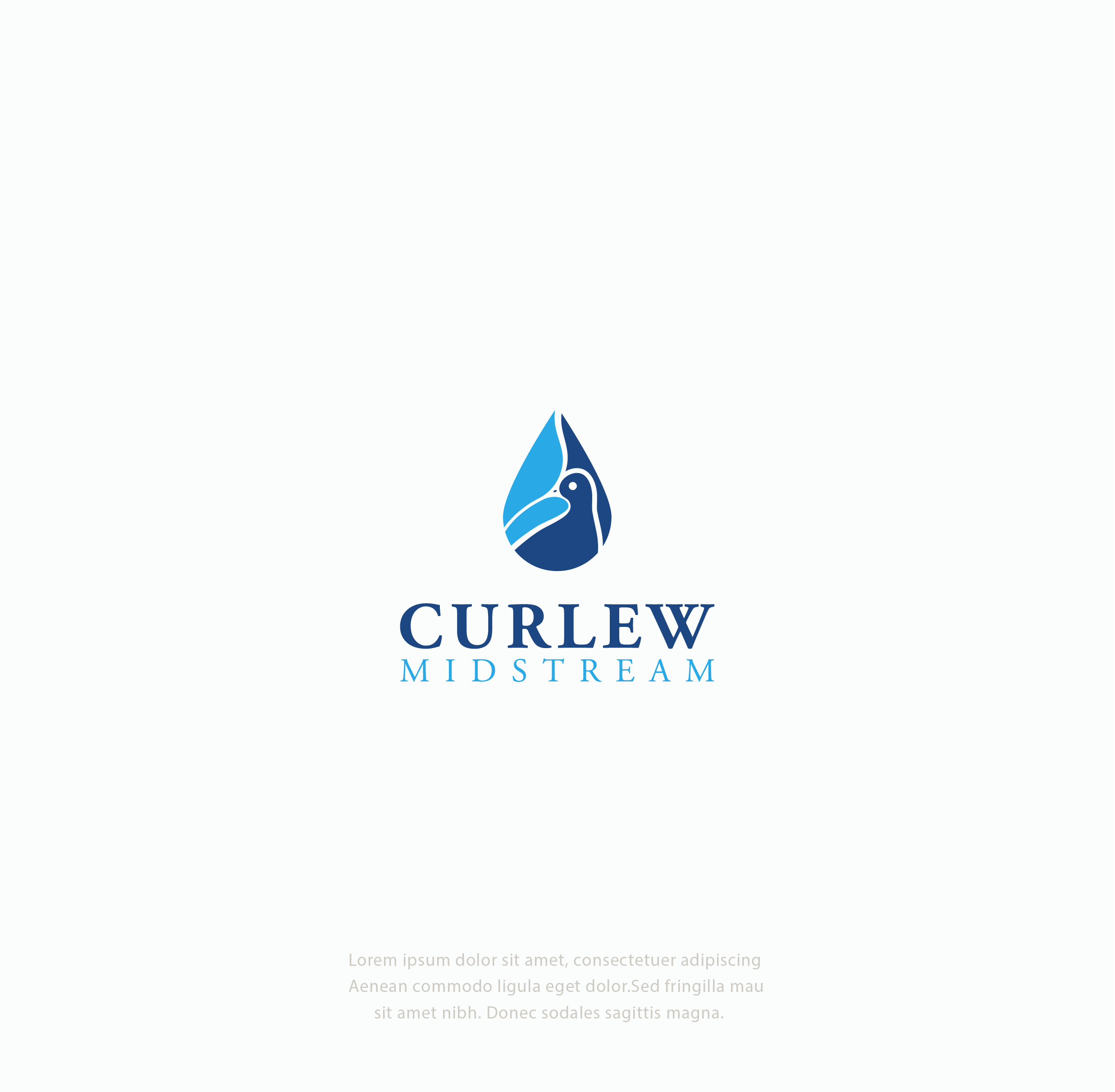 Custom logo design for energy infrastructure company, a Logo & Identity ...