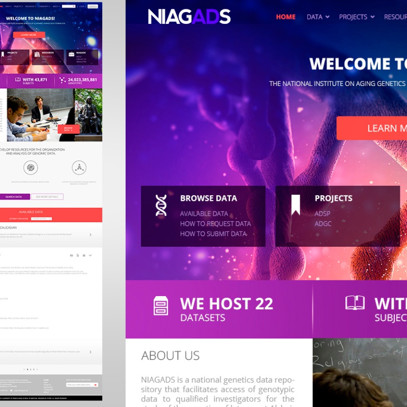 A Web & Mobile Design project by dlaufer on crowdspring