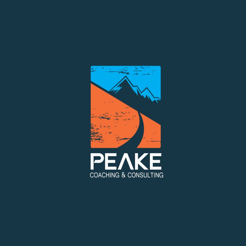 A Logo & Identity Design project by peake on crowdspring