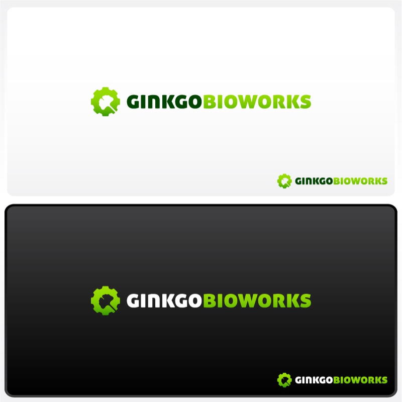 A Logo & Identity Design project by ginkgo on crowdspring